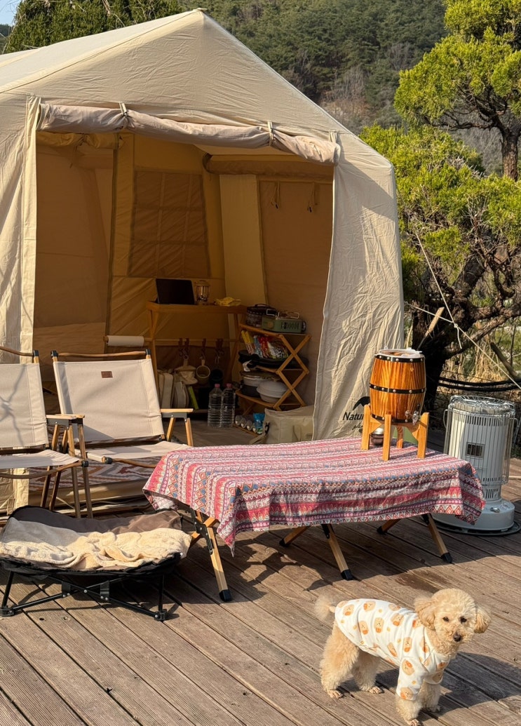 경북 고령 트리독스애견전용캠핑장 (사이트정보,편의시설,캠핑메뉴추천) : 네이버 블로그