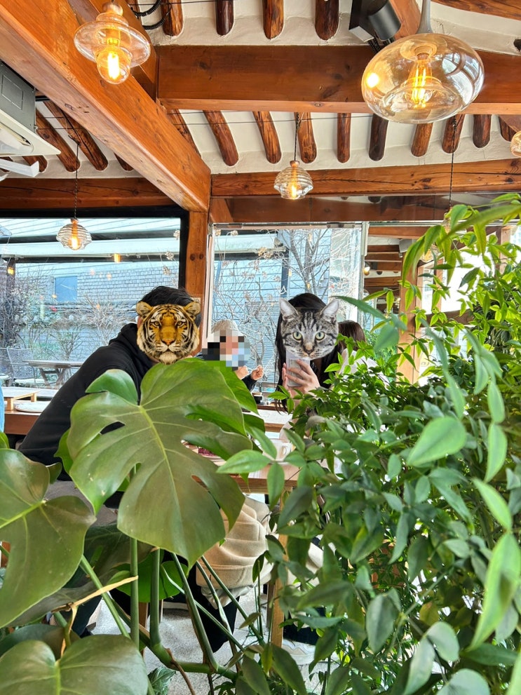 SQLD 56회 시험보고 난 후기 : 네이버 블로그