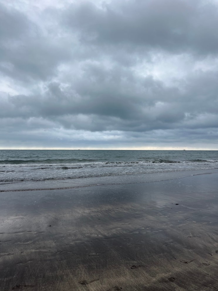 제주1일차-마음샌드,렌트카,고기국수,해변,소품샵,카페,우럭튀김,1인숙소 추천 : 네이버 블로그