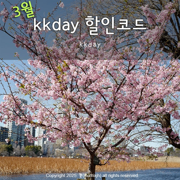 kkday 3월 할인쿠폰 코드 + 일본 벚꽃 여행 개화시기 명소 추천 얼리버드 예약 찬스 : 네이버 블로그