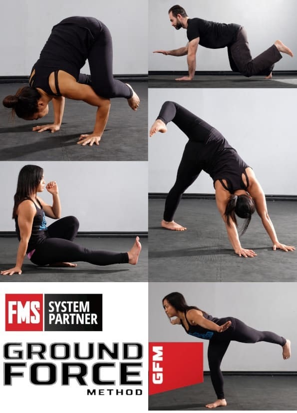 GFM ( Ground Force Method ) : 네이버 블로그