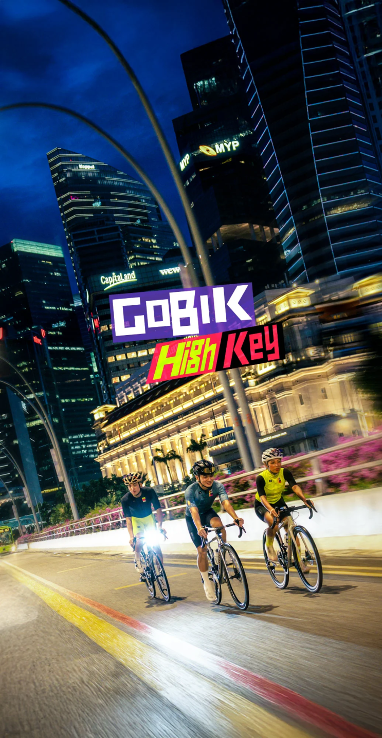 [Gobik] 고빅 WARM25 신상품 한정판 High key 자전거 의류 : 네이버 블로그