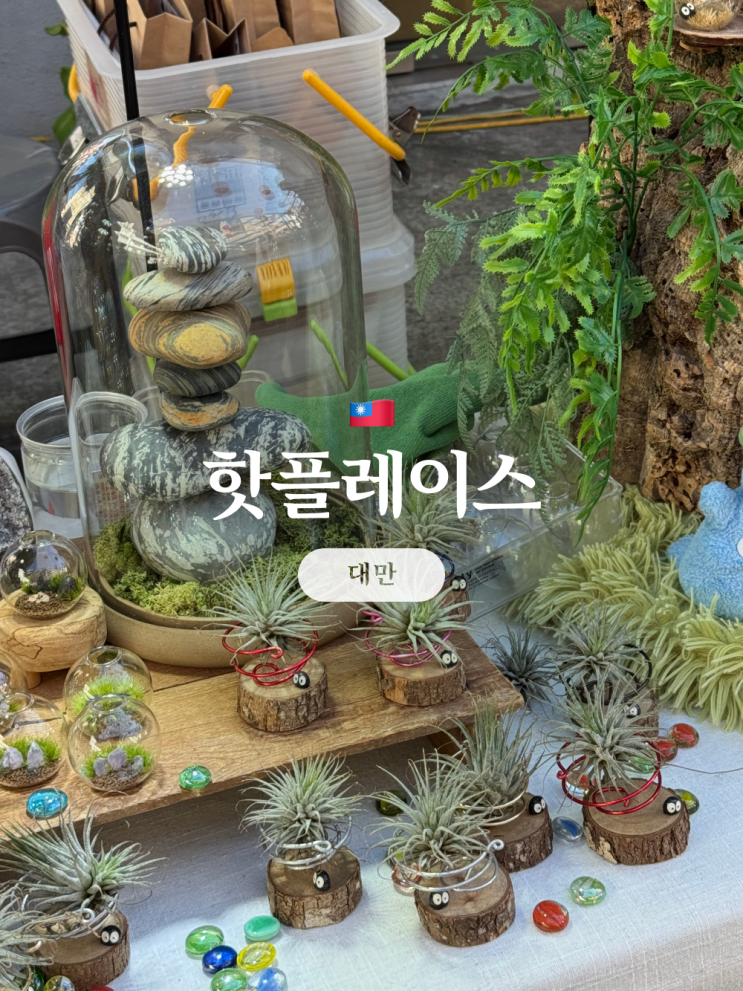 타이중 여행 가볼만한곳! 젊은이들의 핫플레이스 심계신촌 : 네이버 블로그