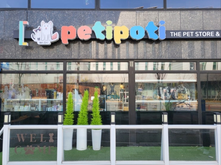 슬기로운 반려人 생활 ⚝03 | petipoti(페티포티) #반려묘미용 #브리티시롱헤어 #브리태니커 #로랜더 #페르시안 #화성 ...