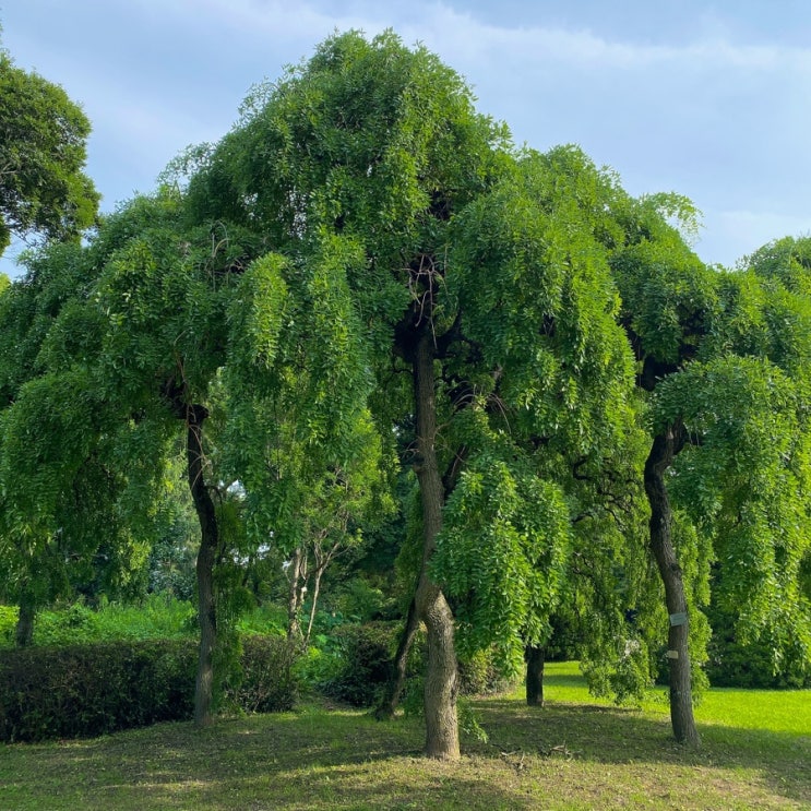 NOTHING ELSE - Forrest Frank (ft. Thomas Rhett) [가사/해석] : 네이버 블로그