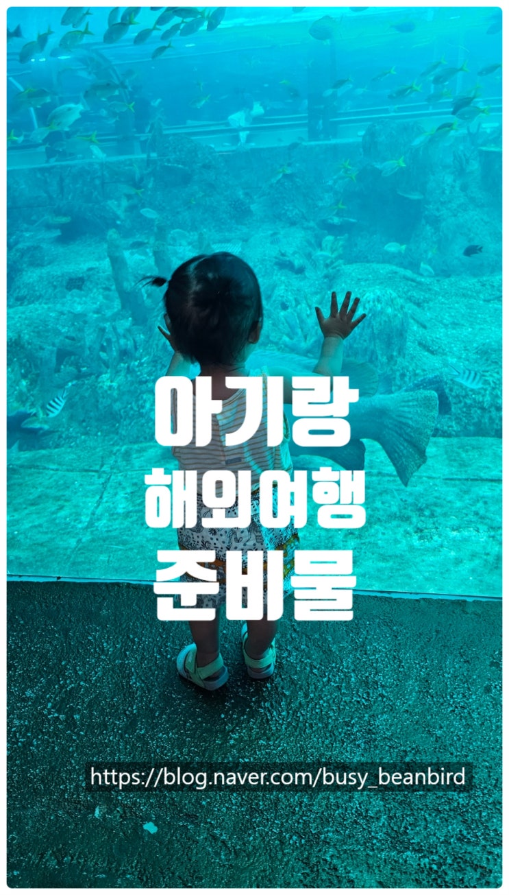 17개월 아기랑 해외여행 푸꾸옥 베트남 준비물 먹거리편 Feat 무염유아식 시판x 네이버 블로그