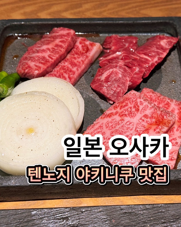 오사카 야키니쿠 맛집 하루카스300 근처 호르몬 분고 텐노지 : 네이버 블로그