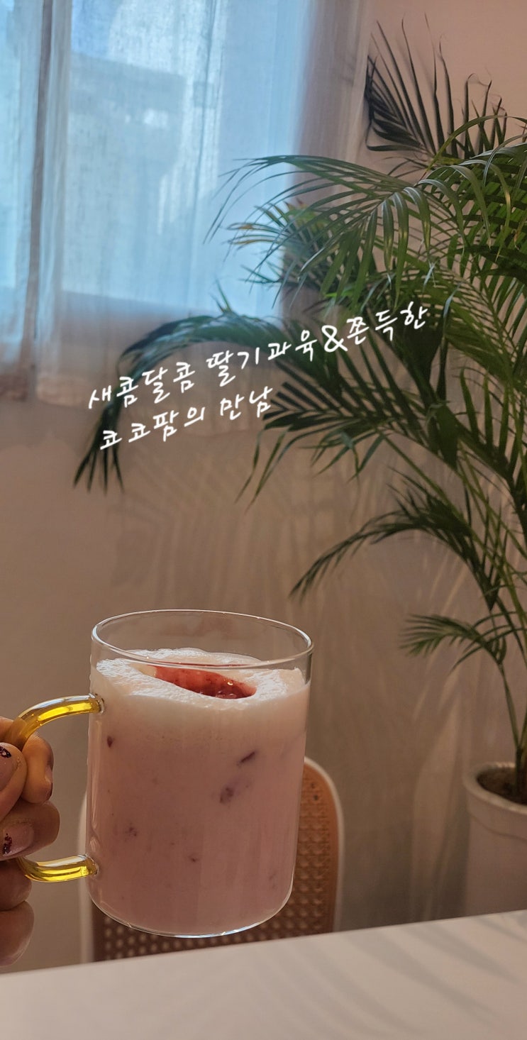 신제품 만들기에 노력하는 바리스타의집 : 네이버 블로그