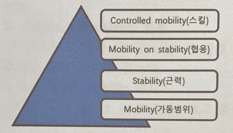 Motor control stage model(운동 조절 단계 모델) : 네이버 블로그
