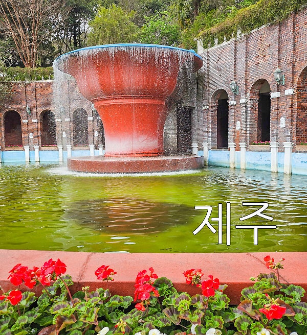 4월 제주 중문 가볼만한곳 꽃구경 제주 여미지 식물원 네이버 블로그