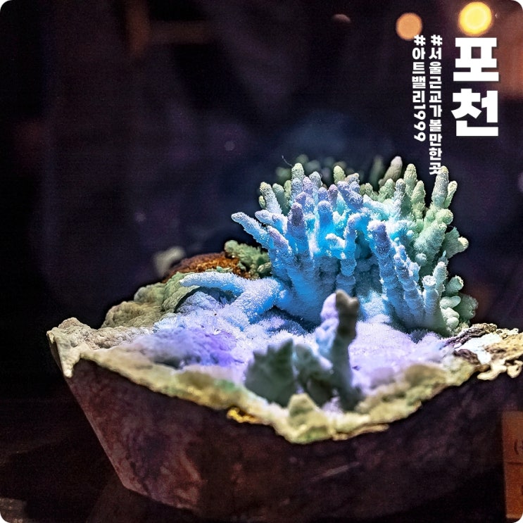 서울근교 실내 가볼만한곳 포천 볼거리 여행 아트밸리 1999 네이버 블로그
