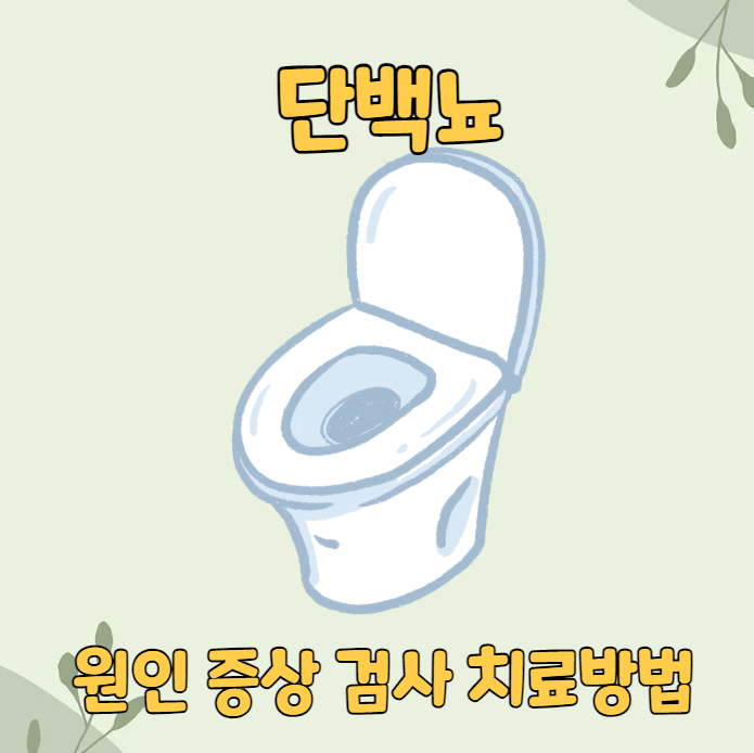 단백뇨 원인 증상 진단 수치 검사방법 치료방법 네이버 블로그