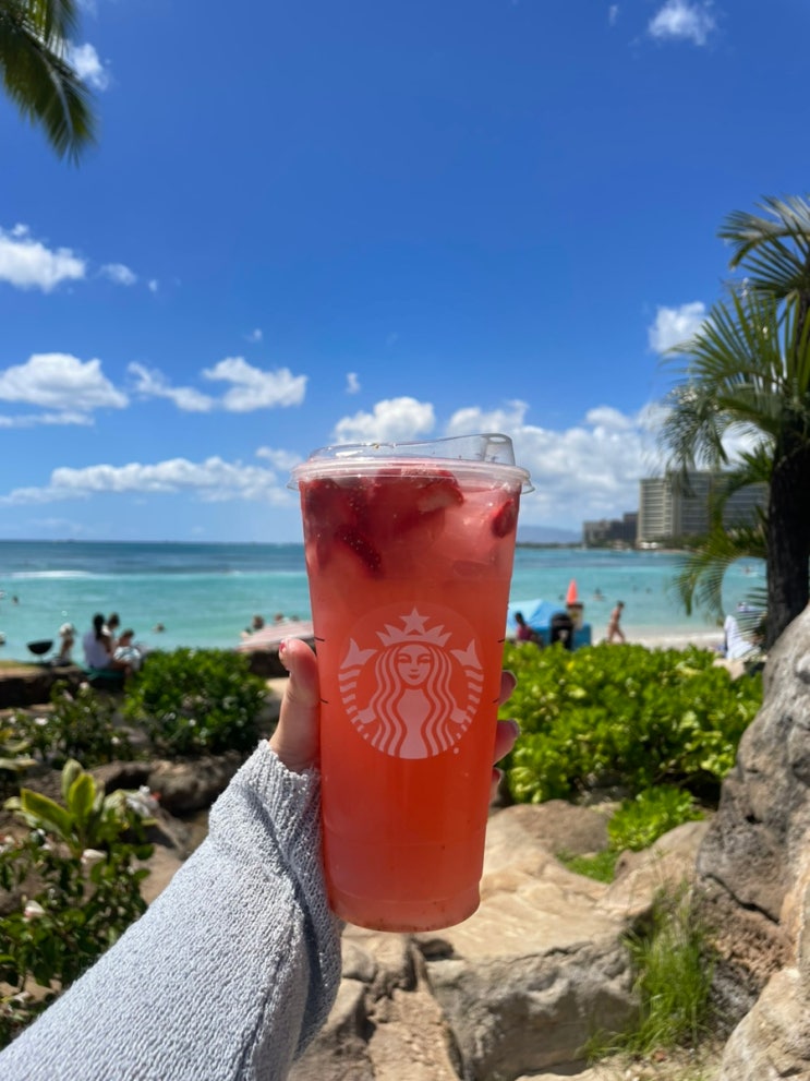 2일차 하와이! / HOLO 교통카드 구매 / 푸드랜드 포케 / 카일루아 비치 / 마루카메 우동 : 네이버 블로그