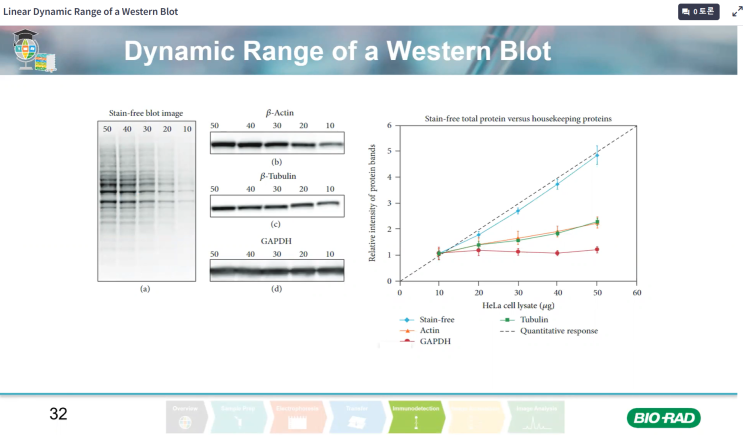 Western Blotting - Linear Dynamic Range of a Western Blot : 네이버 블로그