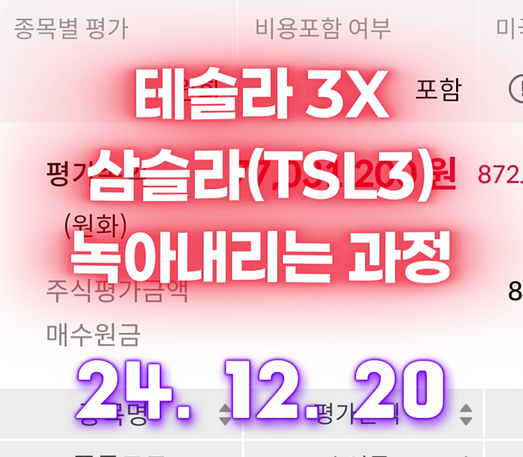 미국주식 테슬라 3배 레버리지 TSL3 삼슬라가 녹아내리는 과정 : 네이버 블로그