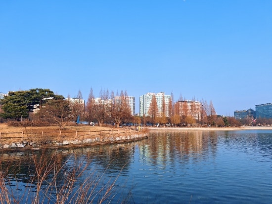 3월 19일 오늘의 성경 말씀 묵상 큐티 3분 예배 : 네이버 블로그