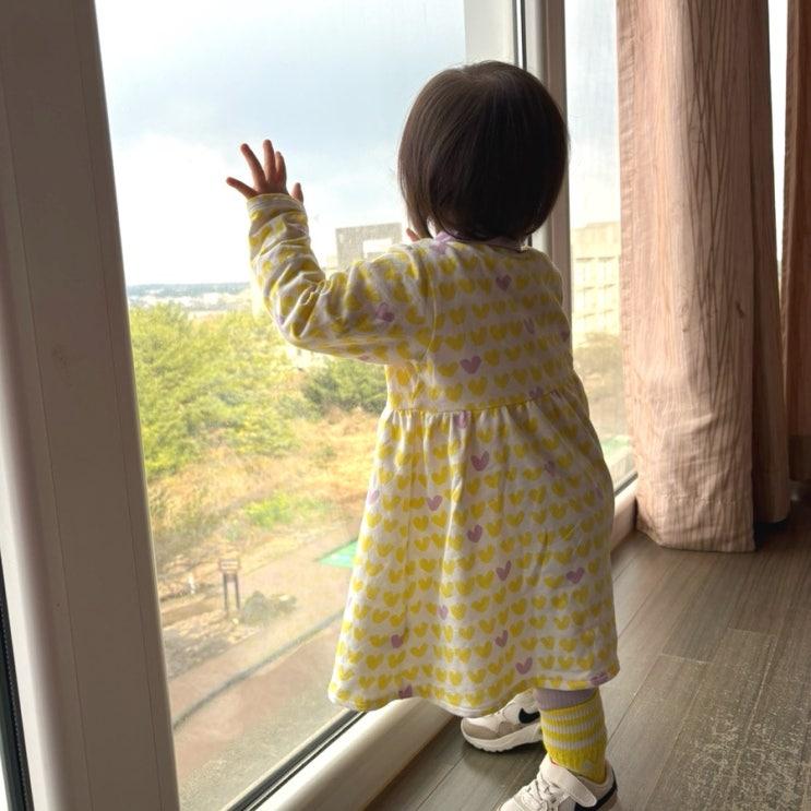 무염유아식 제주도여행 돌아기 여행준비물 챙기기 네이버 블로그