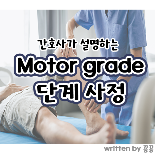motor grade 사정 단계 특징 표기 방법 : 네이버 블로그