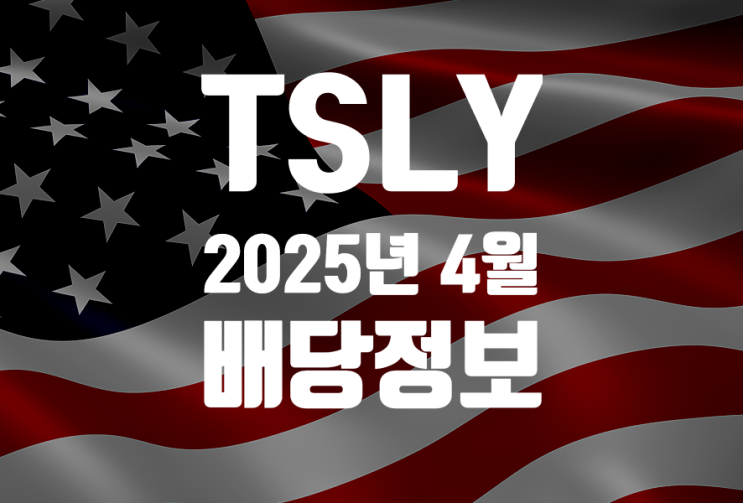 TSLY ETF: 높은 배당률의 이면, 정말 좋은 투자일까? 2025년 4월 배당정보 : 네이버 블로그