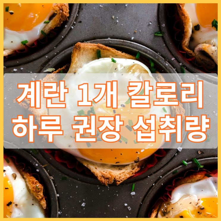 계란 1개 칼로리 단백질 하루 권장 섭취량 계란 효능 부작용 네이버 블로그