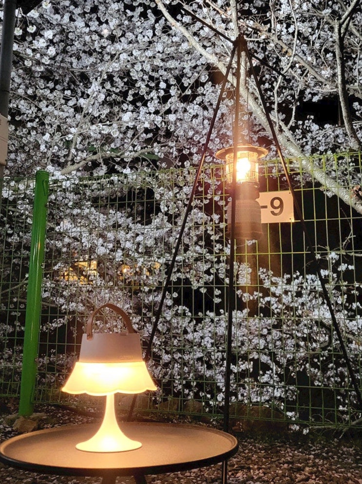 크레모아 아테나 아이 여름 캠핑 아이템 추천 감성 모기향 랜턴 : 네이버 블로그