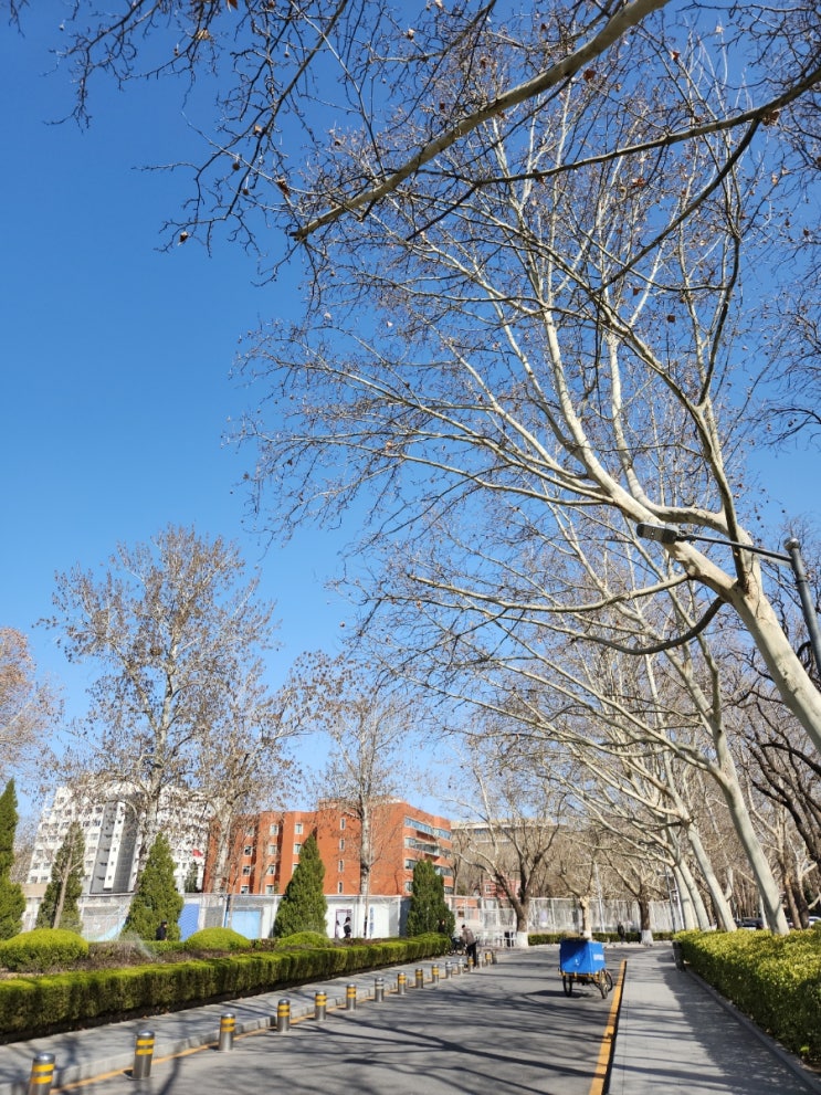 [북경어언대 교환학생] EP 2. 내가 나로 살 수 있다면 : 네이버 블로그