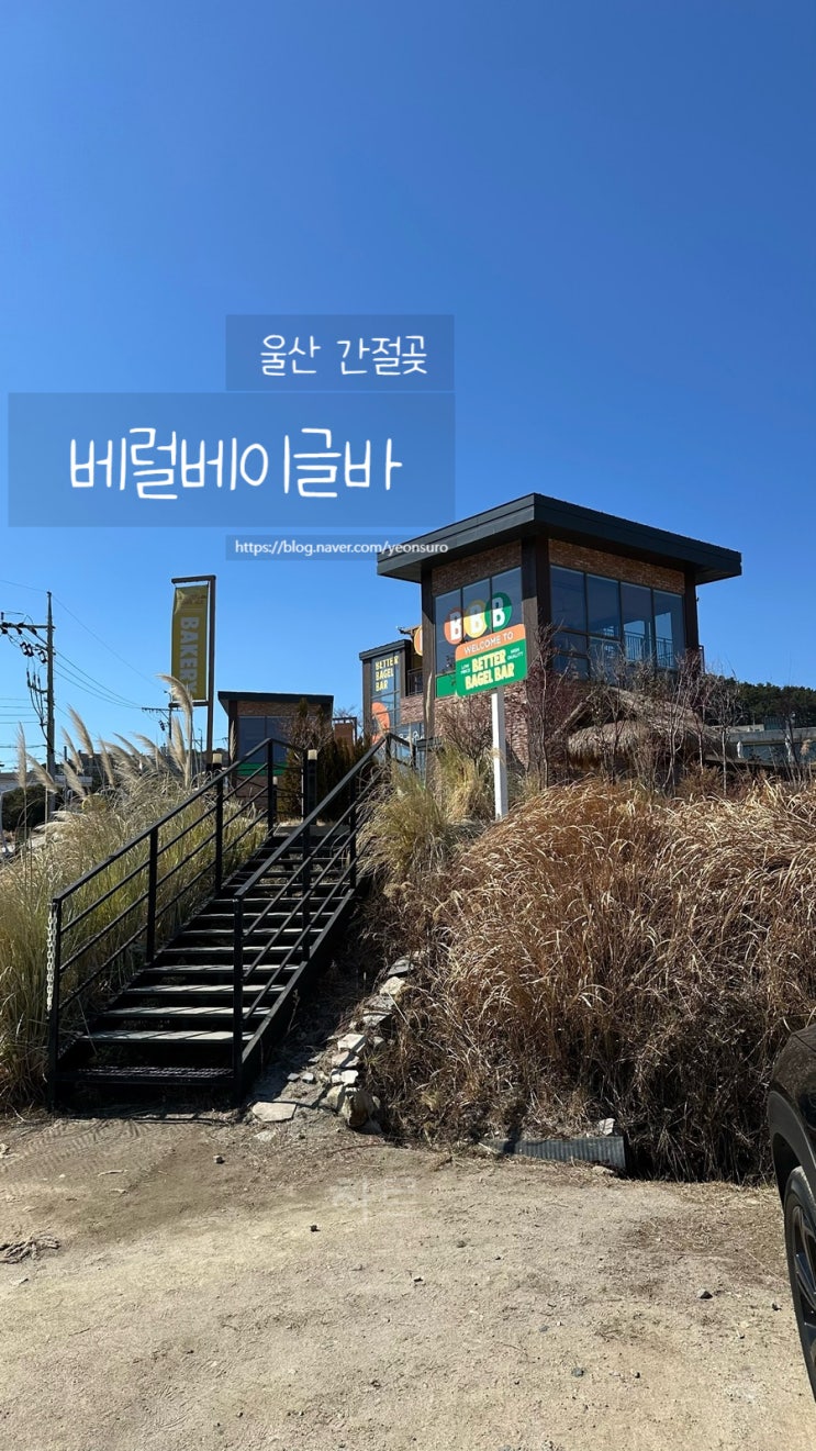 [울산] 간절곶 베이글 맛집 '베럴베이글' : 네이버 블로그