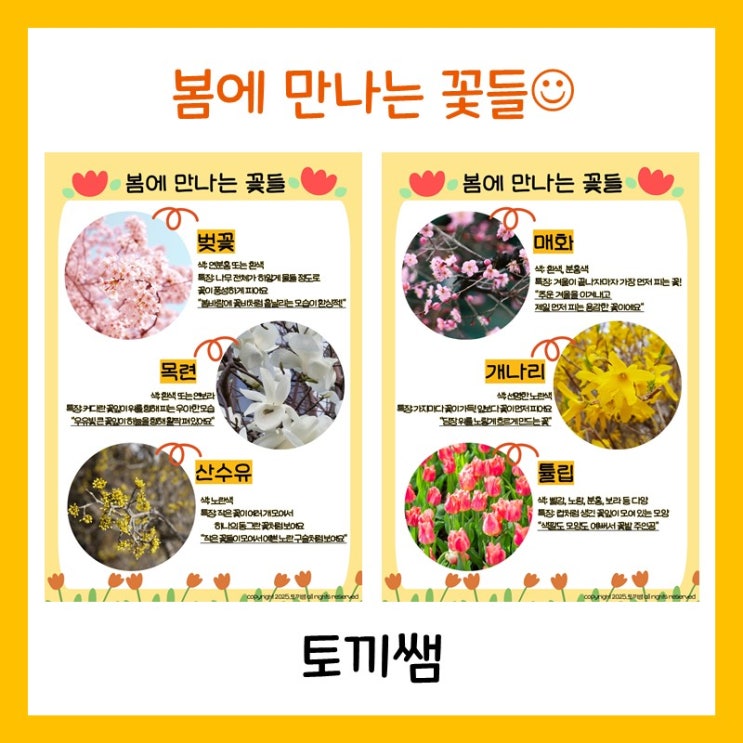 자료 어린이집유치원봄에 만나는 꽃들봄꽃벽보포스터도안공유토끼쌤 네이버 블로그
