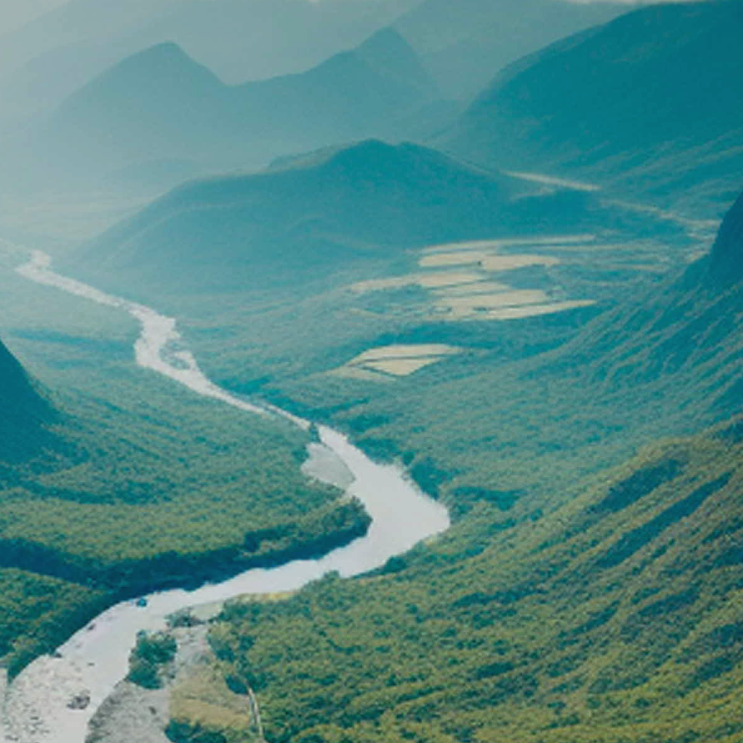 펫테크, 반려동물과 함께하는 스마트한 라이프 : 네이버 블로그