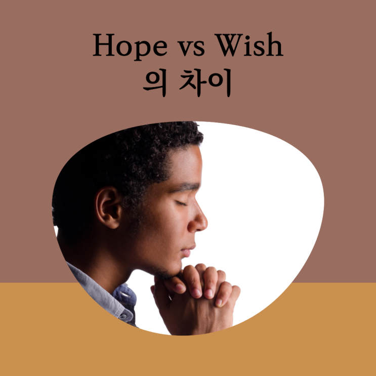 Hope vs Wish 는 어떻게 다를까? 바램을 표현하는 두 가지 방법 뉘앙스 차이 : 네이버 블로그