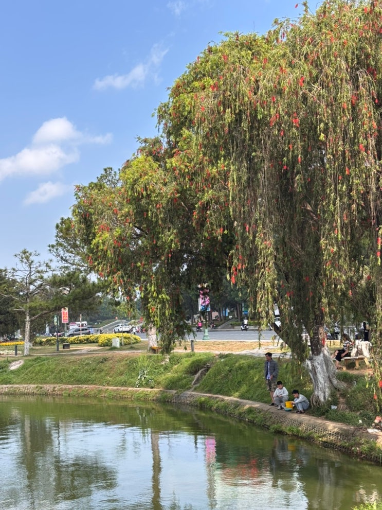 2025-03 그냥 커피 마시고 싶어서 다녀온 1박 2일 달랏여행 : 네이버 블로그