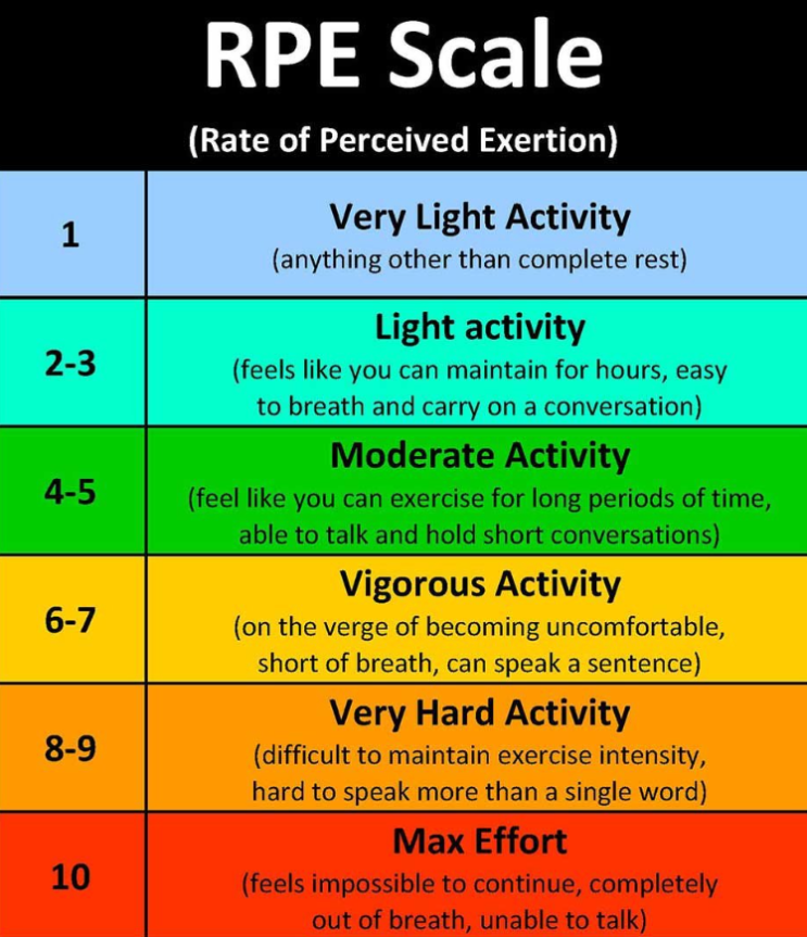 헬스/운동 RPE(Rating of Perceived Exertion)와 RIR(Reps/Repetitions in ...