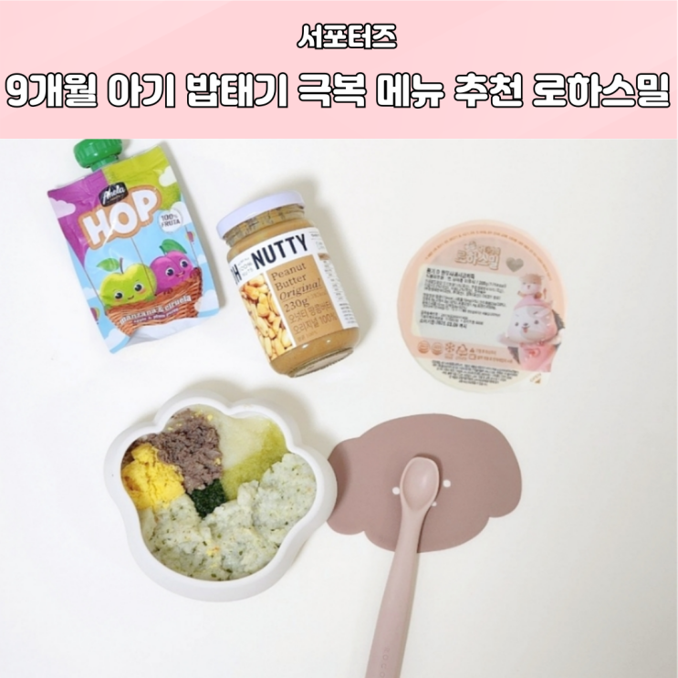 9개월 아기 밥태기 극복 메뉴 추천 로하스밀 밥볼 밥스틱 퓨레 네이버 블로그