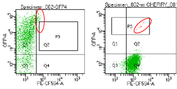 [내가 안 까먹으려고 정리하는 연구노트] FACS compensation : 네이버 블로그