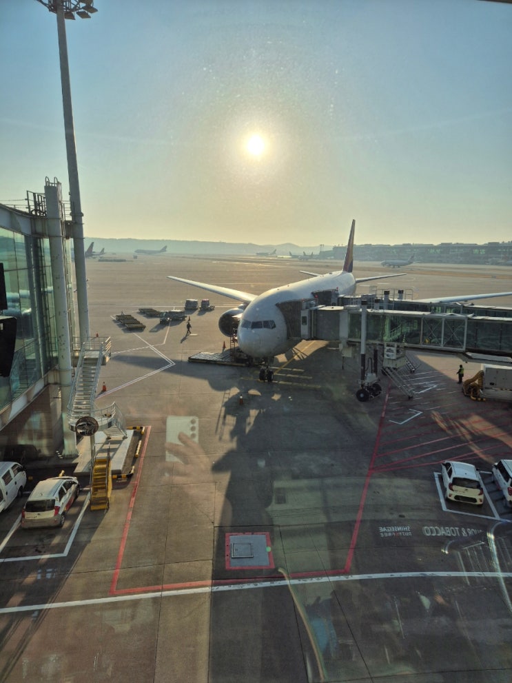 [아시아나항공 OZ272 & OZ271] 인천 시애틀 이코노미석 + 미국 입국심사 : 네이버 블로그