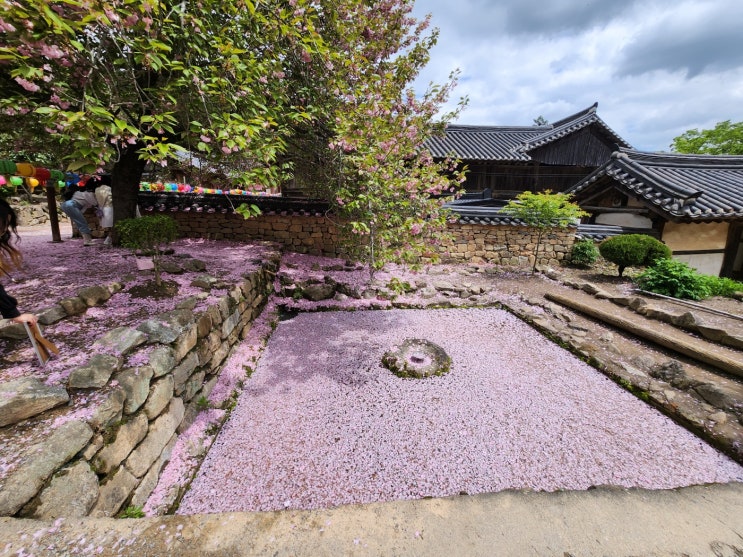 '선암사'와 '송광사'의 봄날을 거닐다 : 네이버 블로그