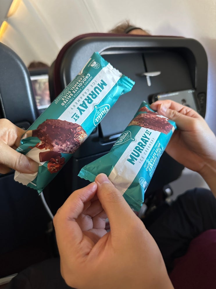 [호주 신혼여행] 콴타스 멜버른-싱가포르-인천 QF37 항공 무료 와이파이+배터짐 : 네이버 블로그