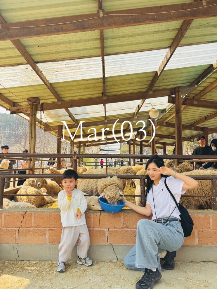 3월 일상 (03) , 2025 : 네이버 블로그