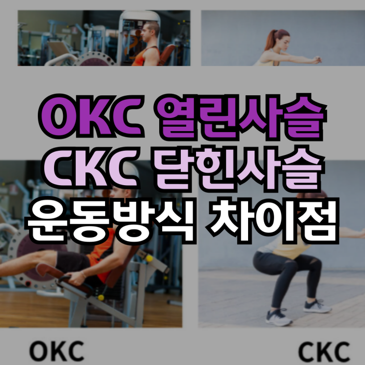 송파PT OKC 닫힌사슬운동 CKC 열린사슬운동 차이점 이해 /무브짐PT : 네이버 블로그