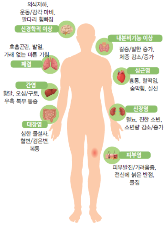 항암제 치료원리 및 작용기전 유형종류 및 부작용 세포독성 항암제 표적치료제 면역항암제 호르몬 항암제 네이버 블로그
