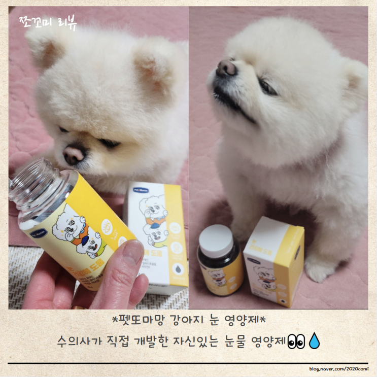 🐶펫또마망 눈물 영양제: 강아지 눈 건강에 도움 👀💧 : 네이버 블로그