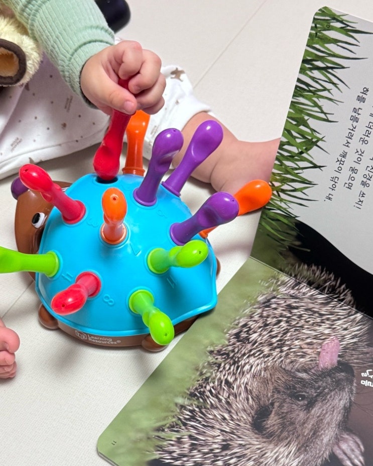 16개월 보유 장난감, 교구 리스트(몬테소리, 러닝리소스, 대근육 소근육 발달) : 네이버 블로그