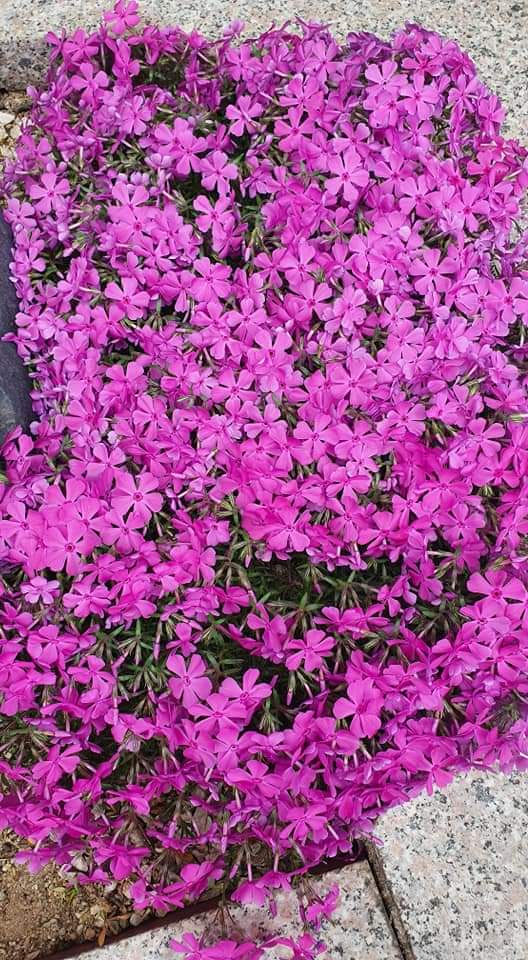 [천공 정법] 인간이 말을 할 수 있게 된 이유는, 말 자체가 에너지이기 때문, 말의 에너지가 지금 이 우주에 남아 운용된다는 ...