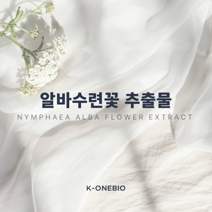 [화장품 성분 사전] 알바수련꽃 추출물(Nymphaea Alba Flower Extract) : 네이버 블로그
