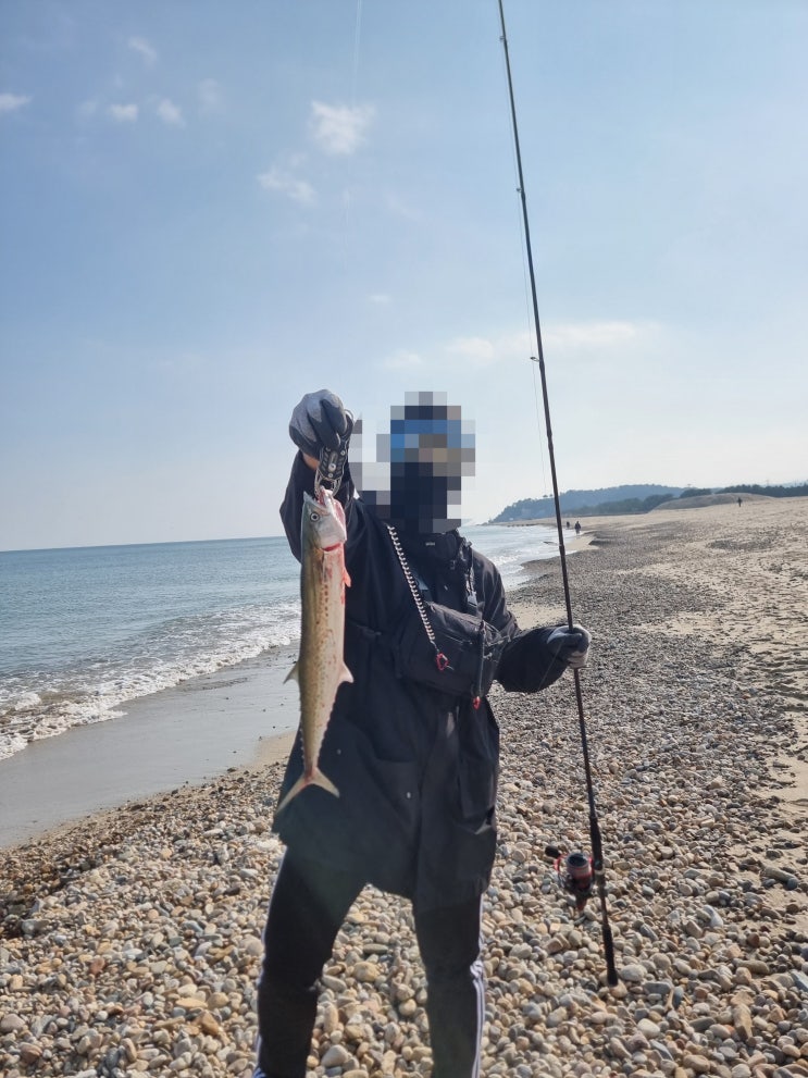 [알리 낚시용품] 알리 가성비 끝판왕 낚시대 블루인쇼어(LEYDUN BLUE INSHORE) 사용해보고 알리줌!(내돈내산 알리 ...