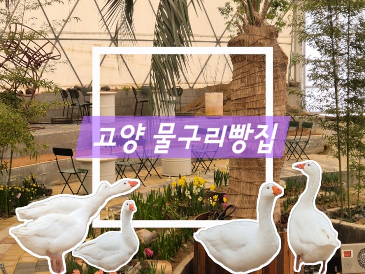 (고양 덕양구) 거위와 꽃과 풍차가 함께하는 빵 맛집 [물구리빵집] MOOLGURI BAKERY CAFE : 네이버 블로그