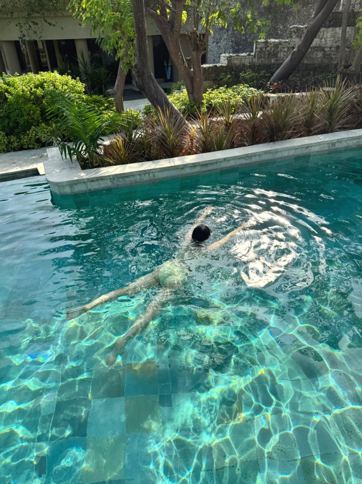 수영 일기 #3 : 평영 배우기 : 네이버 블로그