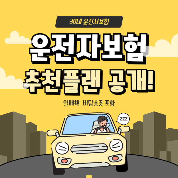 30대 운전자보험 일배책 포함 추천플랜 공개(30세 여자 남자) : 네이버 블로그