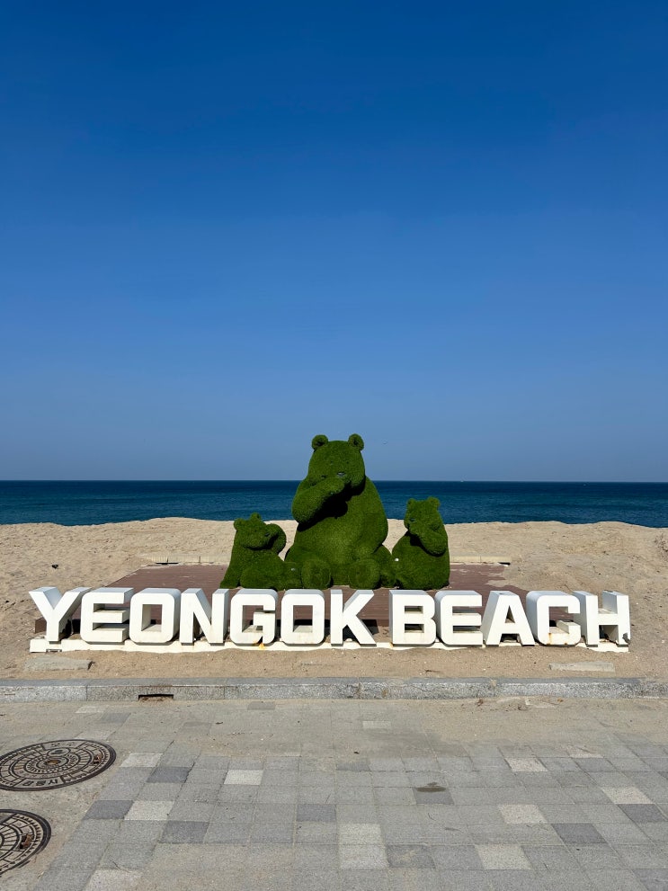 [캠핑기록1] 강원도 강릉 연곡솔향기캠핑장 : 네이버 블로그