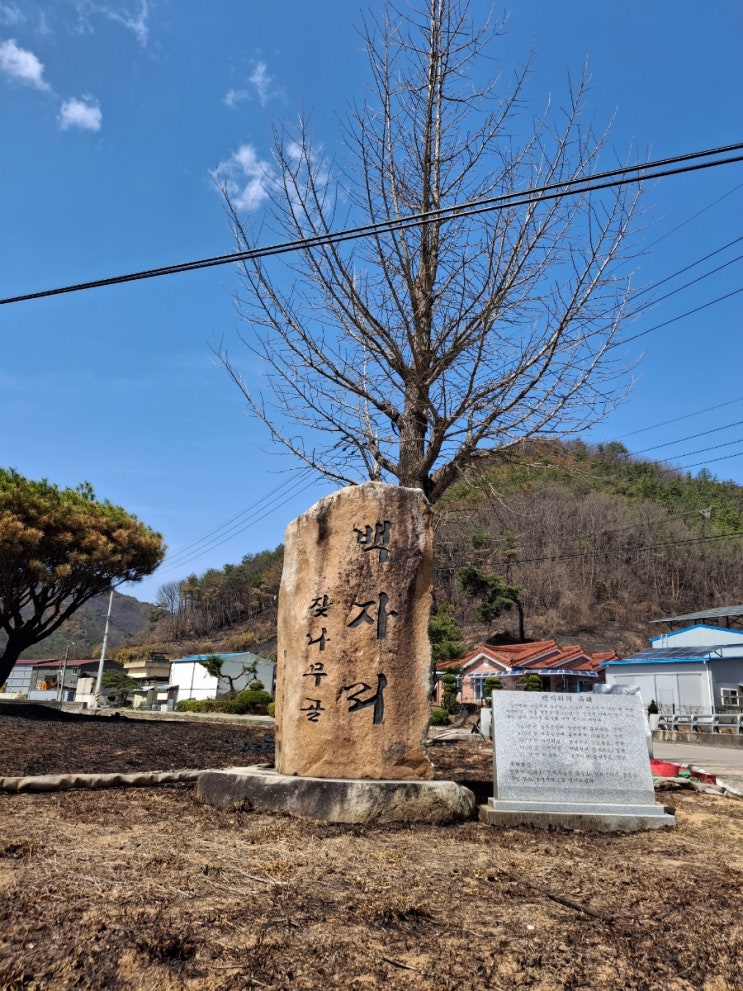 길안면 백자리에 화마가 덮친 현장, 고향집 : 네이버 블로그